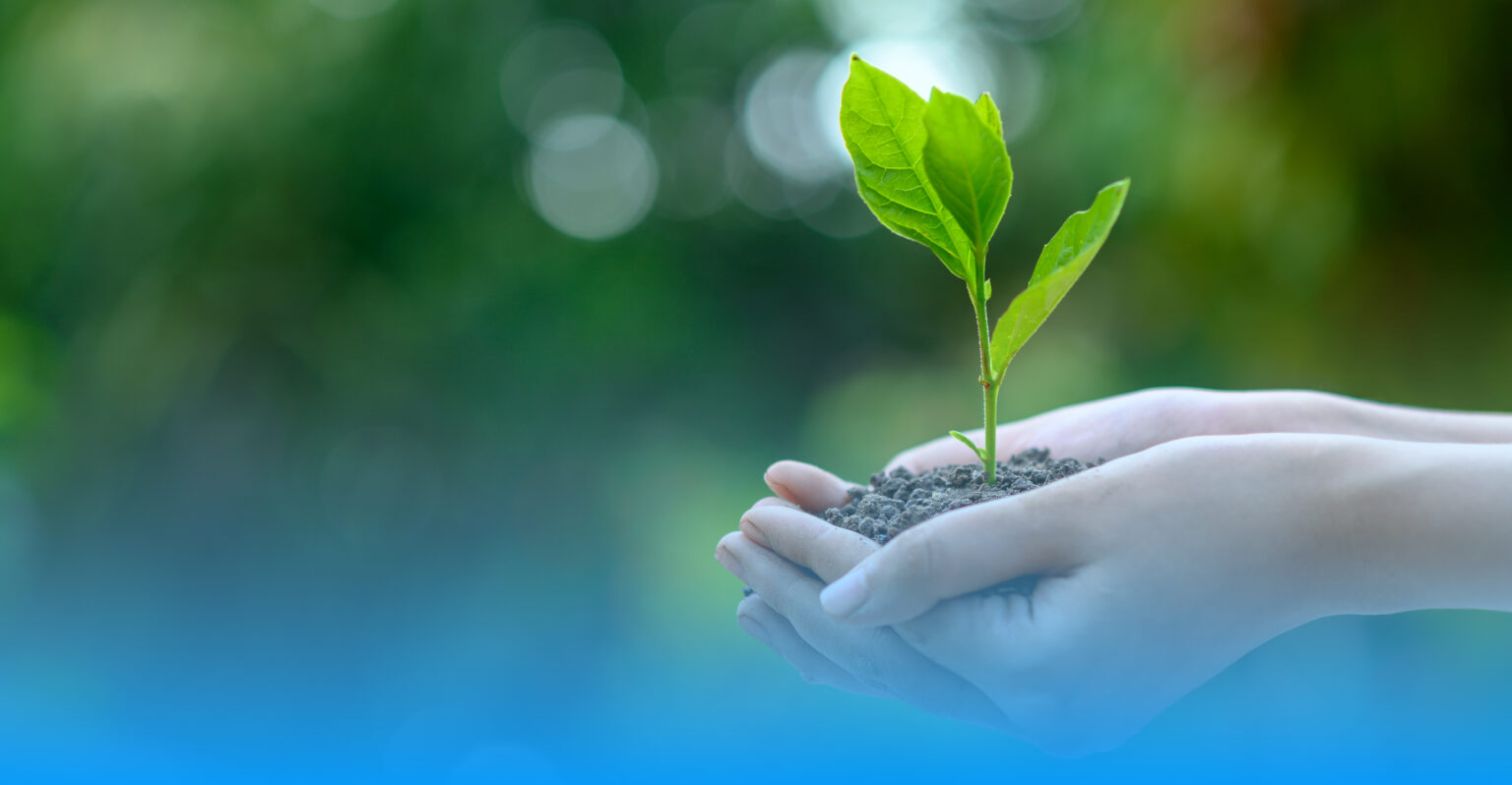 Habilidades verdes: la clave para tener un buen trabajo en el futuro - ISEB